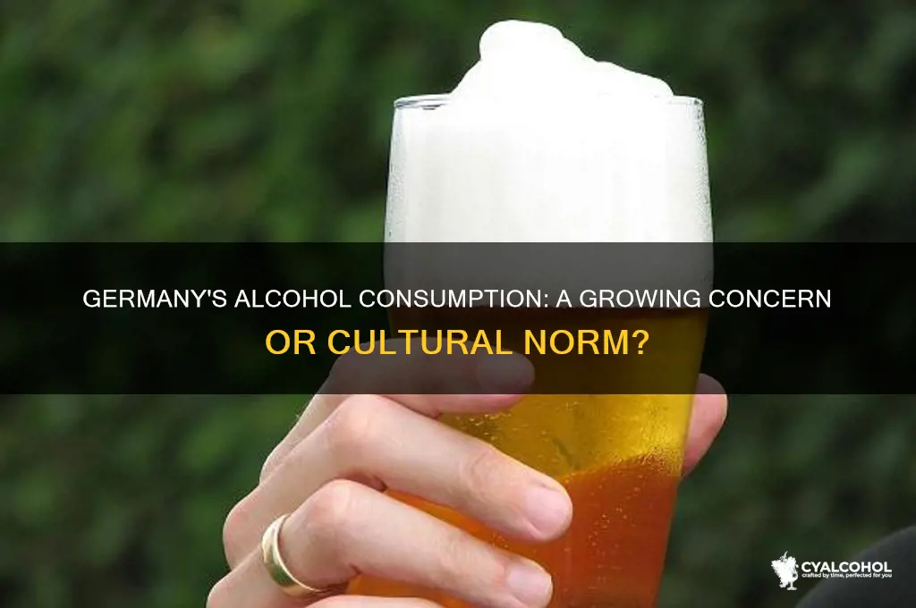 Germany's Alcohol Consumption: A Growing Concern Or Cultural Norm ...