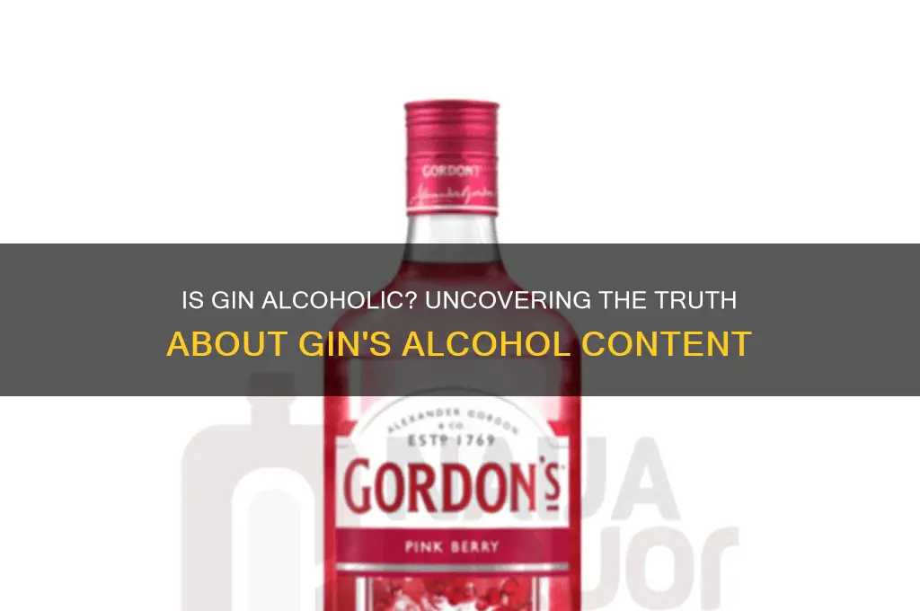 Is Gin Alcoholic? Uncovering The Truth About Gin's Alcohol Content ...