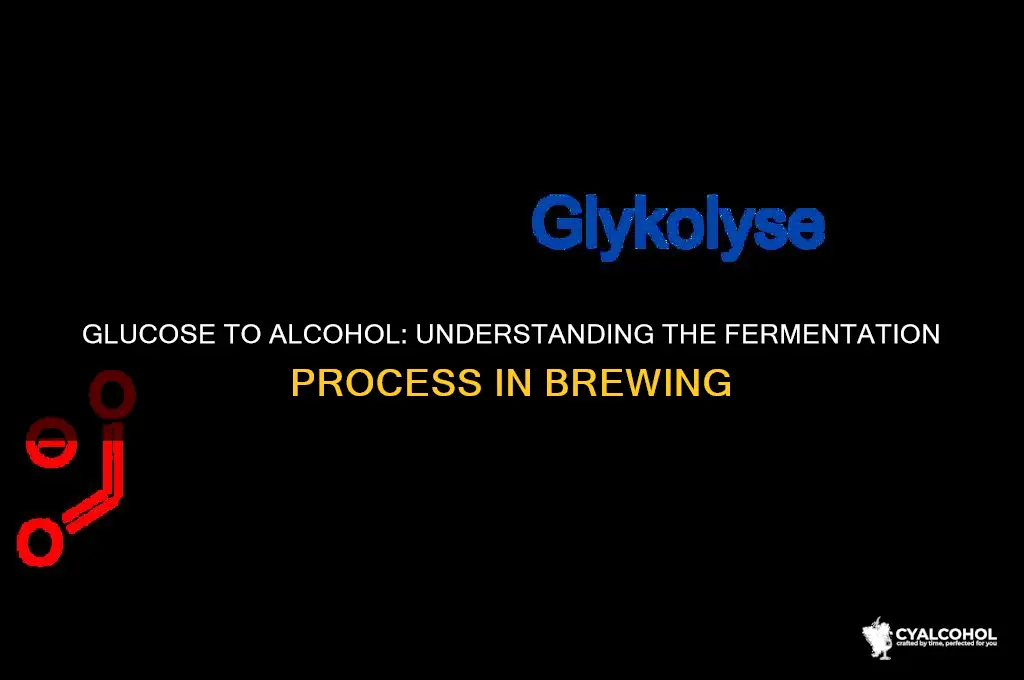 Glucose To Alcohol: Understanding The Fermentation Process In Brewing ...