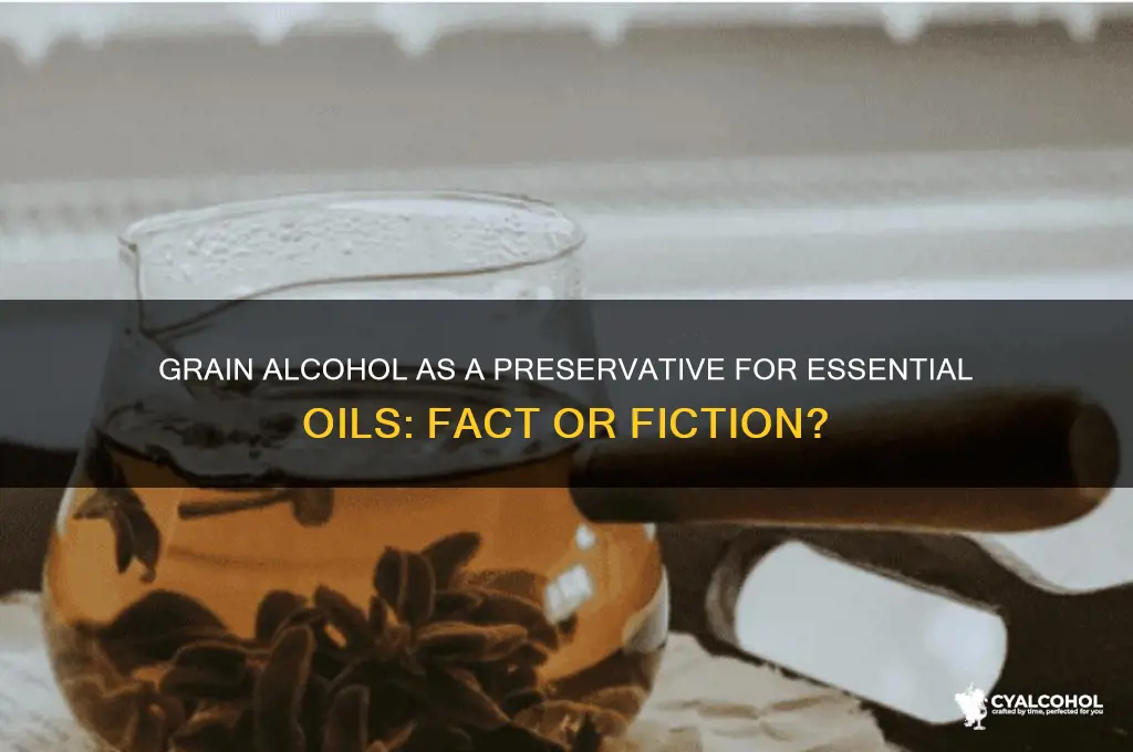 Grain Alcohol As A Preservative For Essential Oils: Fact Or Fiction ...