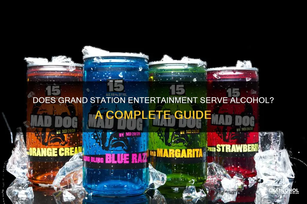 Does Grand Station Entertainment Serve Alcohol? A Complete Guide ...