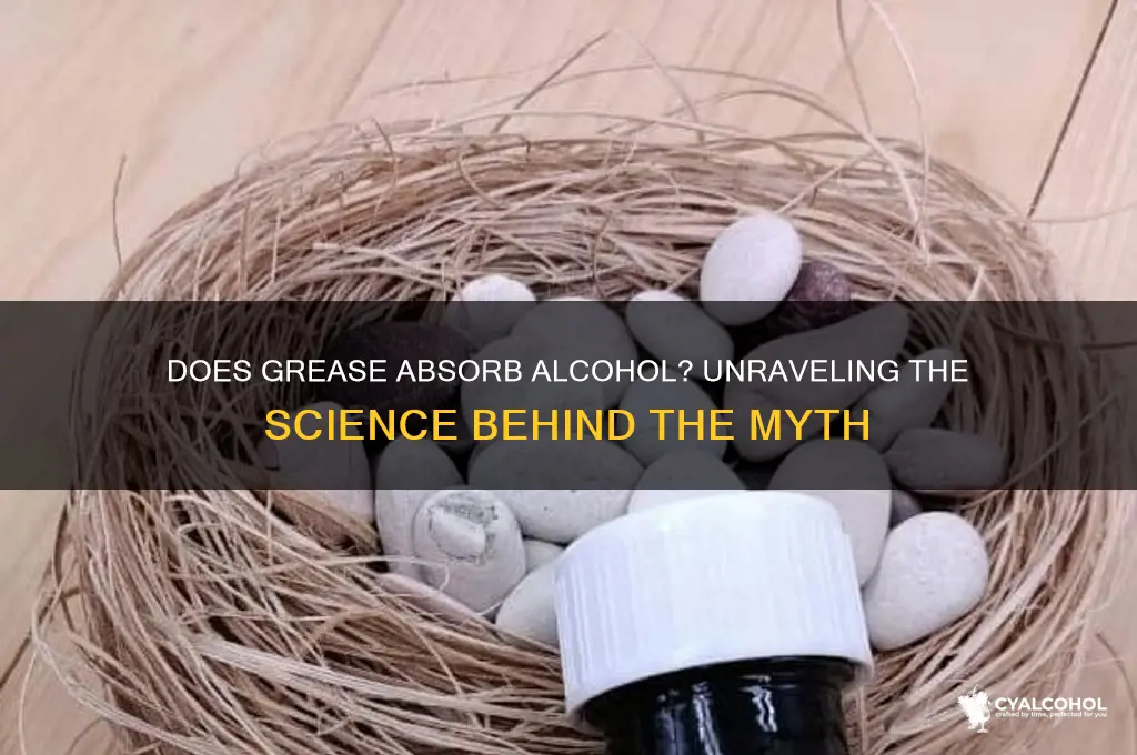 Does Grease Absorb Alcohol? Unraveling The Science Behind The Myth ...