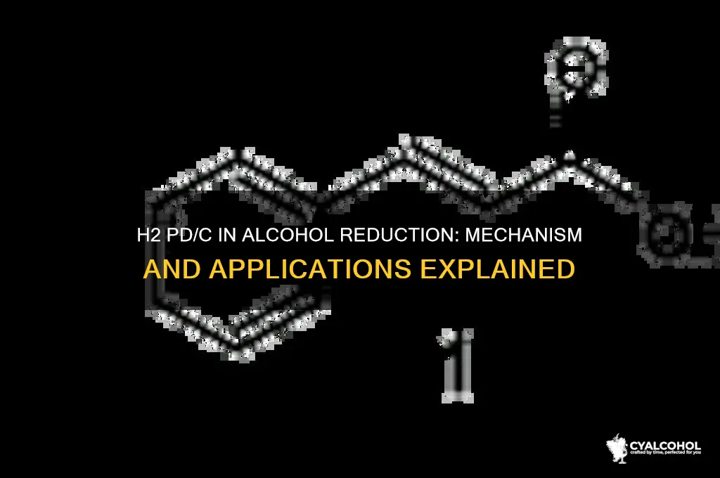 H2 Pd/C In Alcohol Reduction: Mechanism And Applications Explained ...