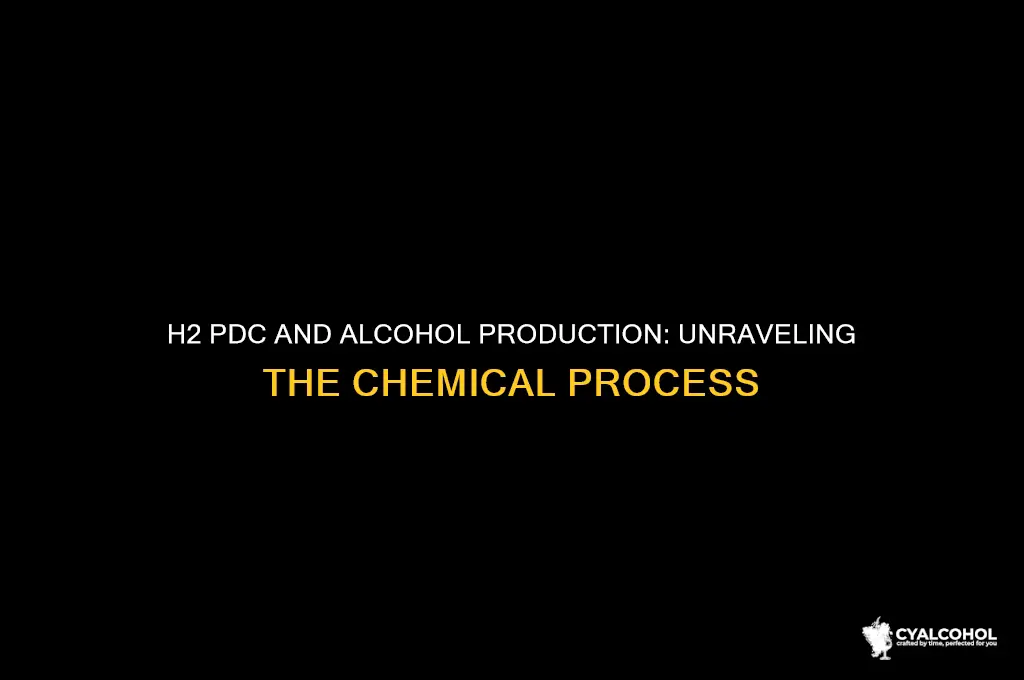 H2 Pdc And Alcohol Production: Unraveling The Chemical Process | CyAlcohol