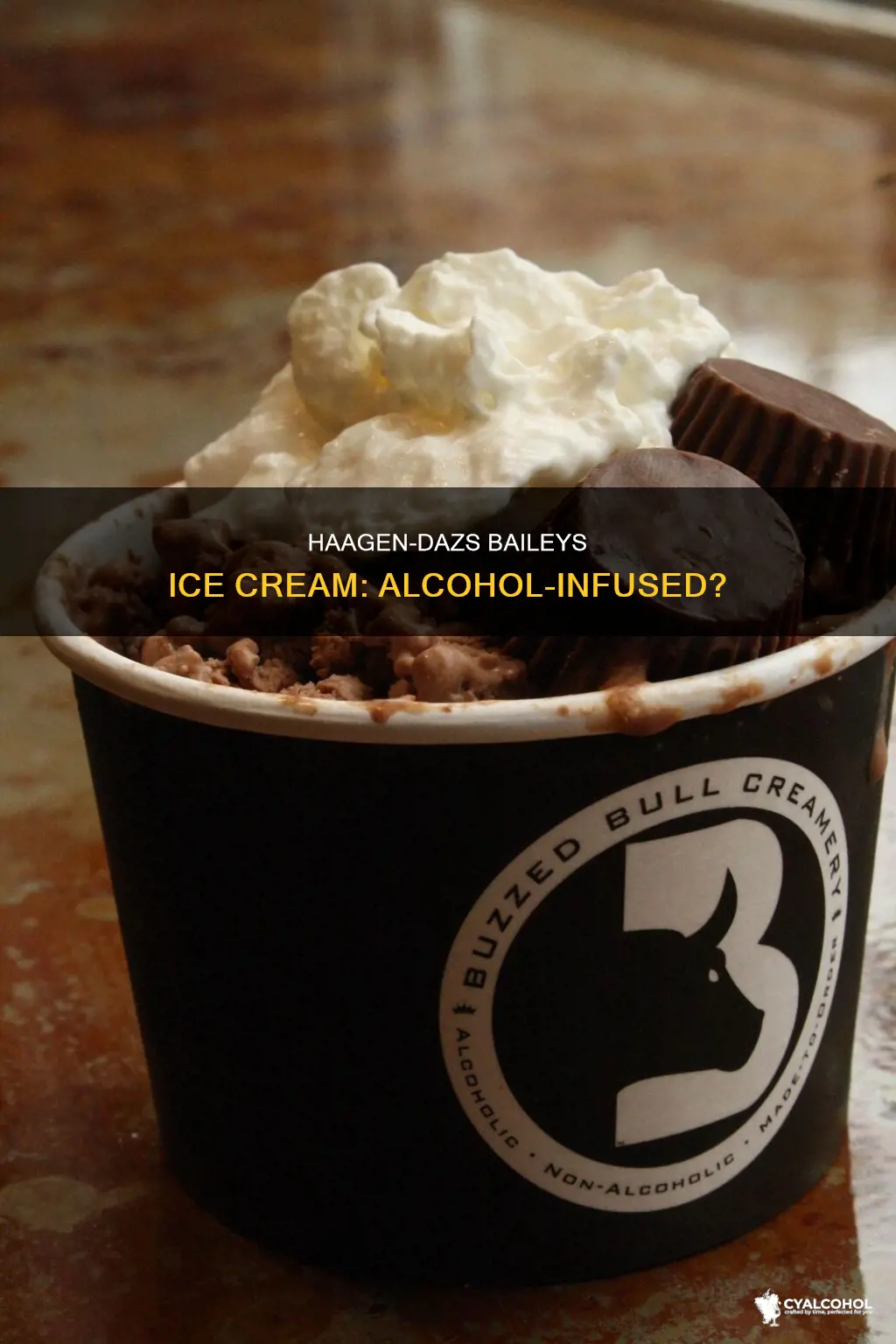 Haagen-Dazs Baileys Ice Cream: Alcohol-Infused? | CyAlcohol