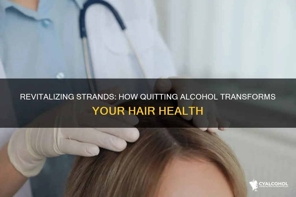 Revitalizing Strands: How Quitting Alcohol Transforms Your Hair Health ...