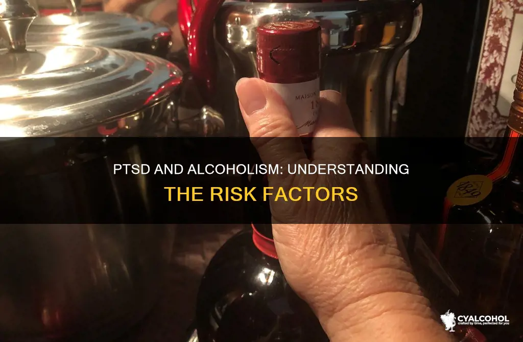 Ptsd And Alcoholism: Understanding The Risk Factors | CyAlcohol