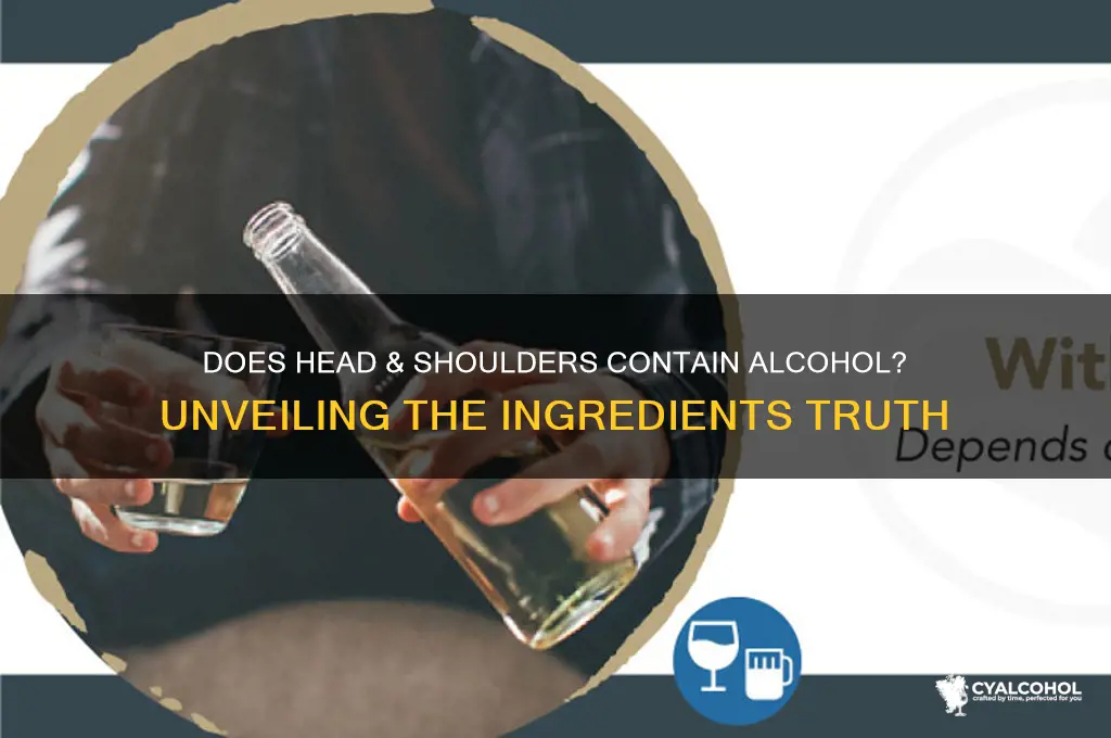 Does Head & Shoulders Contain Alcohol? Unveiling The Ingredients Truth ...
