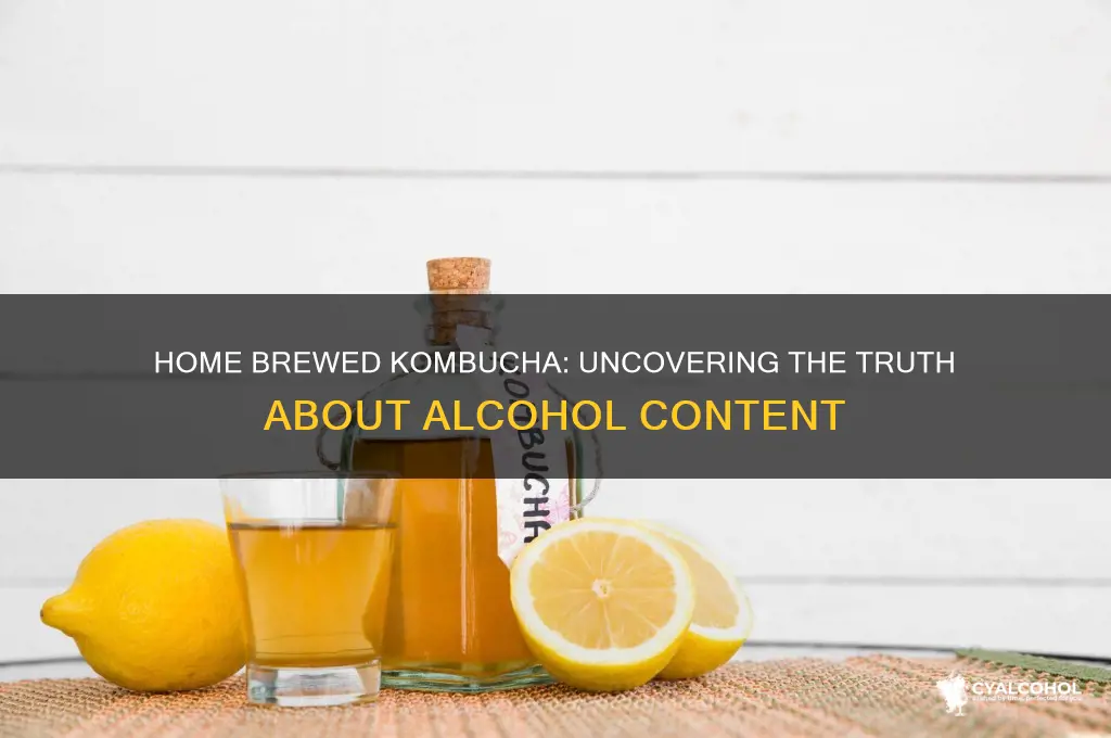Home Brewed Kombucha: Uncovering The Truth About Alcohol Content ...