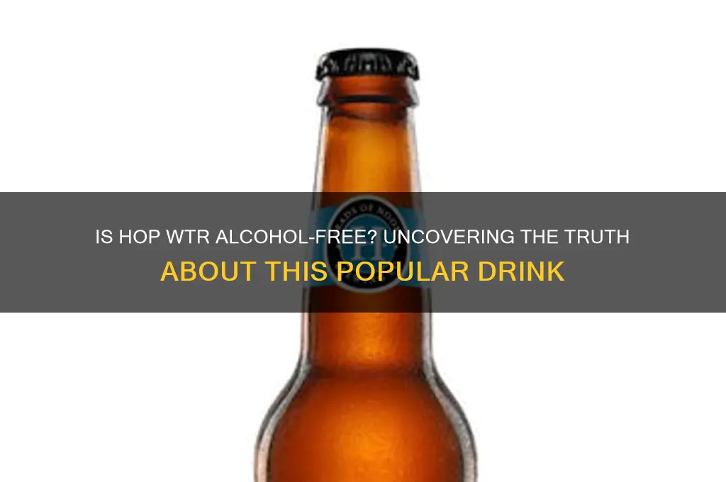 Is Hop Wtr Alcohol-Free? Uncovering The Truth About This Popular Drink ...