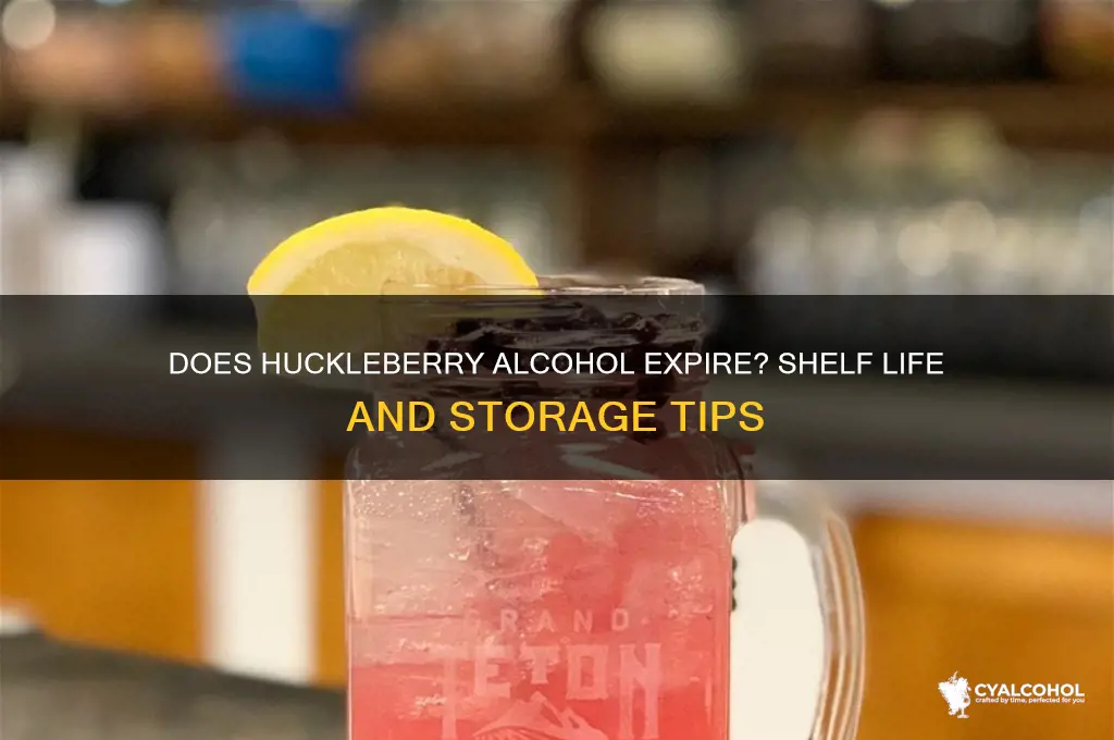 Does Huckleberry Alcohol Expire? Shelf Life And Storage Tips | CyAlcohol
