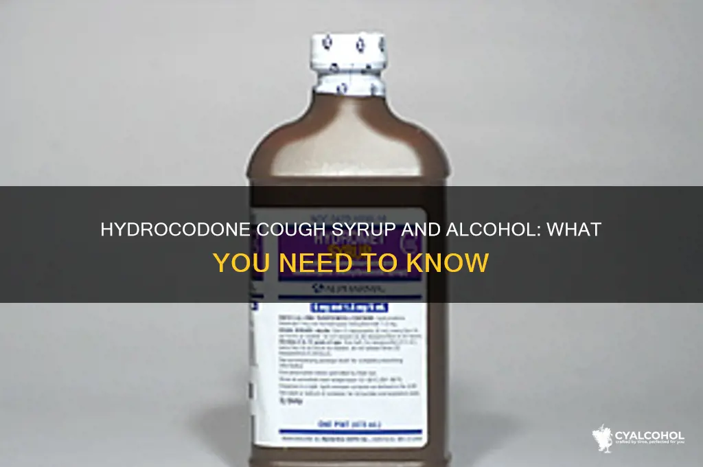Hydrocodone Cough Syrup And Alcohol: What You Need To Know | CyAlcohol