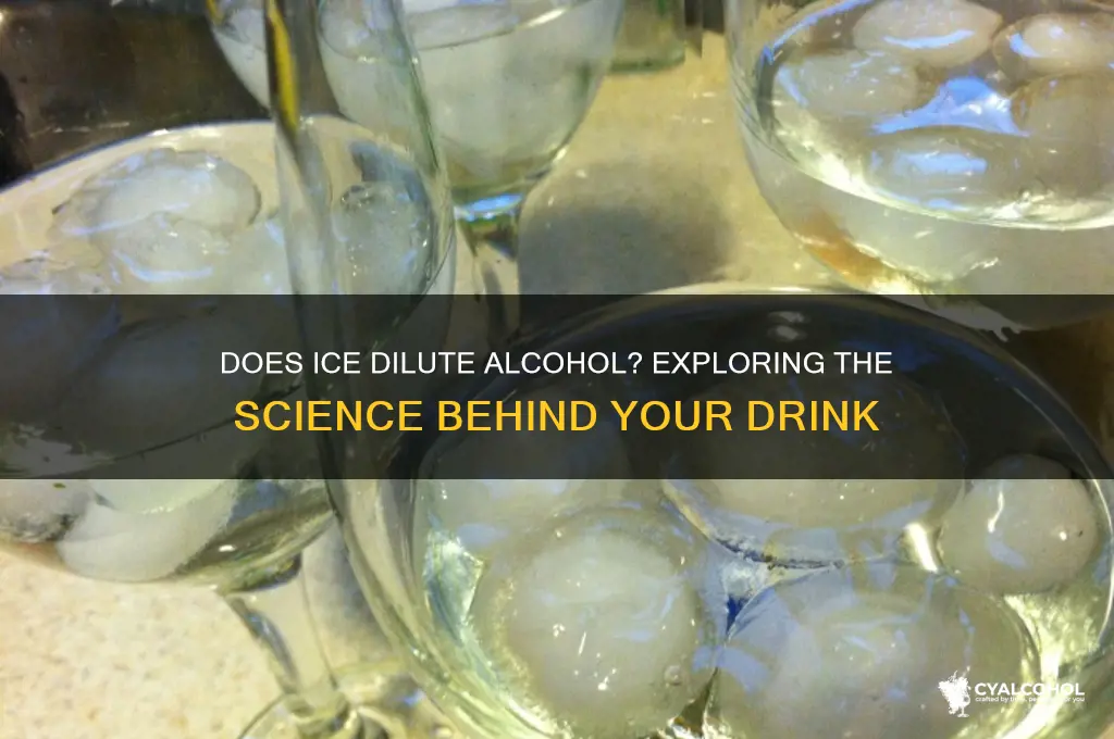 Does Ice Dilute Alcohol? Exploring The Science Behind Your Drink ...