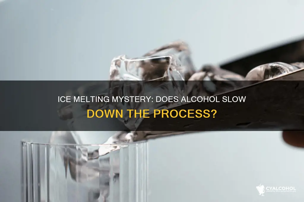 Ice Melting Mystery: Does Alcohol Slow Down The Process? | CyAlcohol