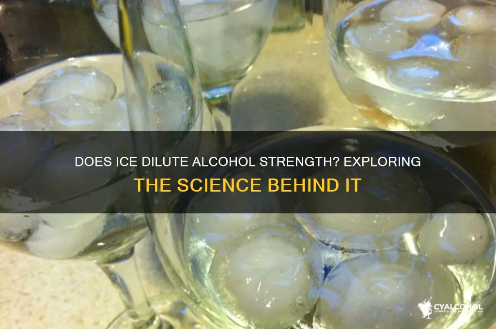 Does Ice Dilute Alcohol Strength? Exploring The Science Behind It ...