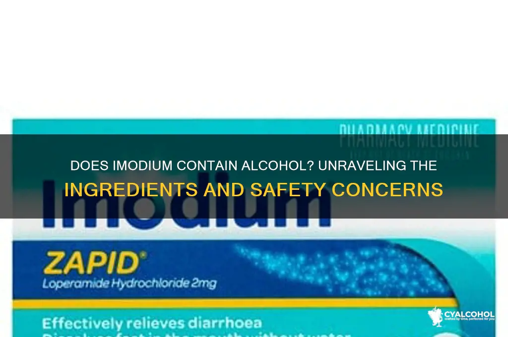 Does Imodium Contain Alcohol? Unraveling The Ingredients And Safety ...
