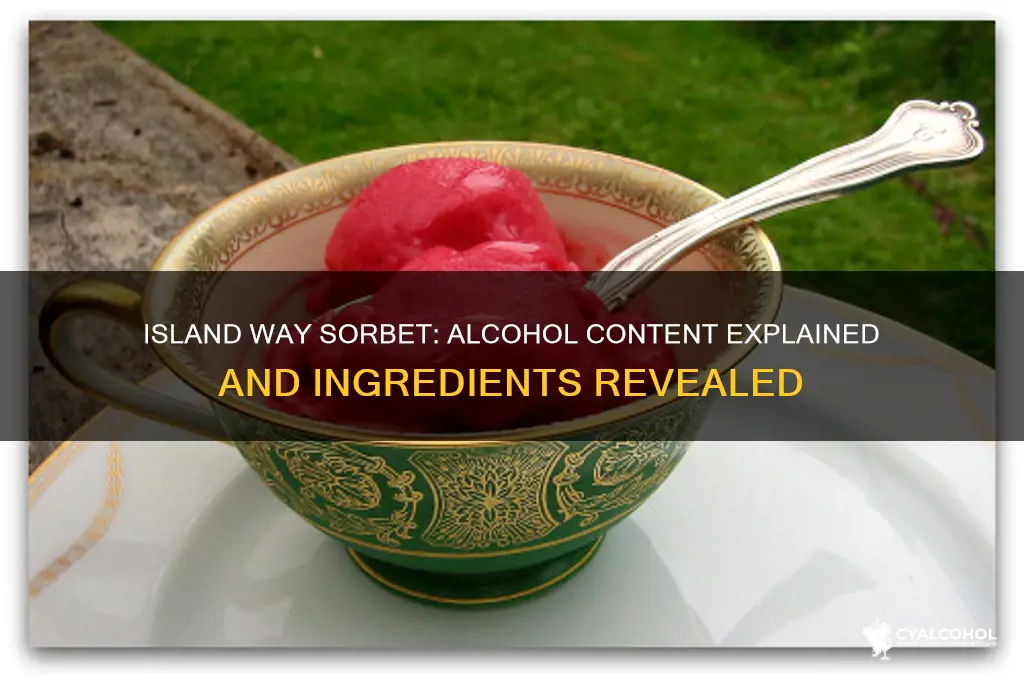Island Way Sorbet: Alcohol Content Explained And Ingredients Revealed ...