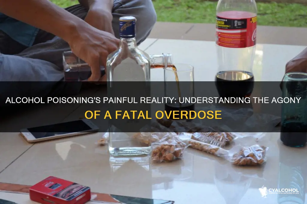 Alcohol Poisoning's Painful Reality: Understanding The Agony Of A Fatal ...