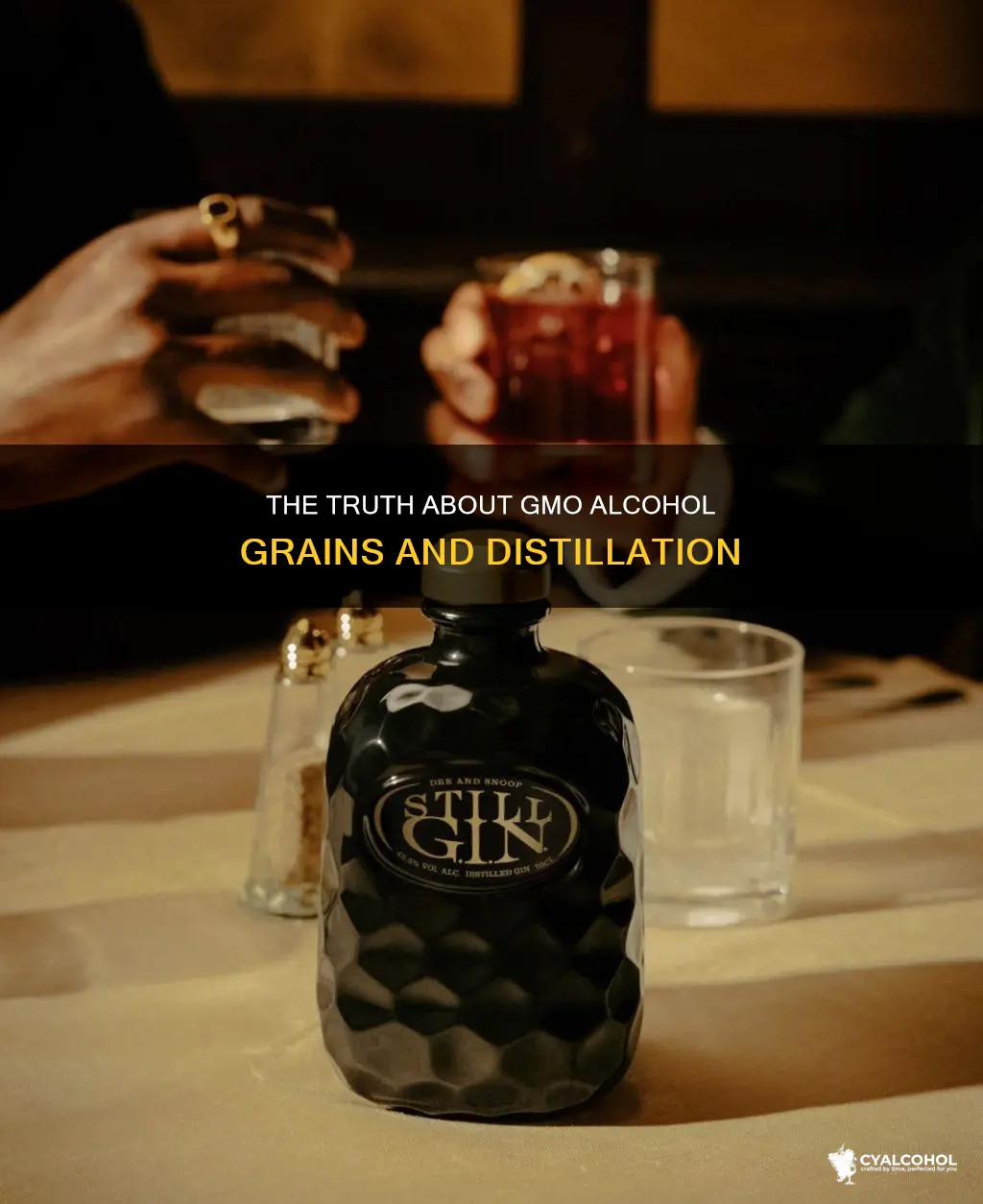The Truth About Gmo Alcohol Grains And Distillation | CyAlcohol