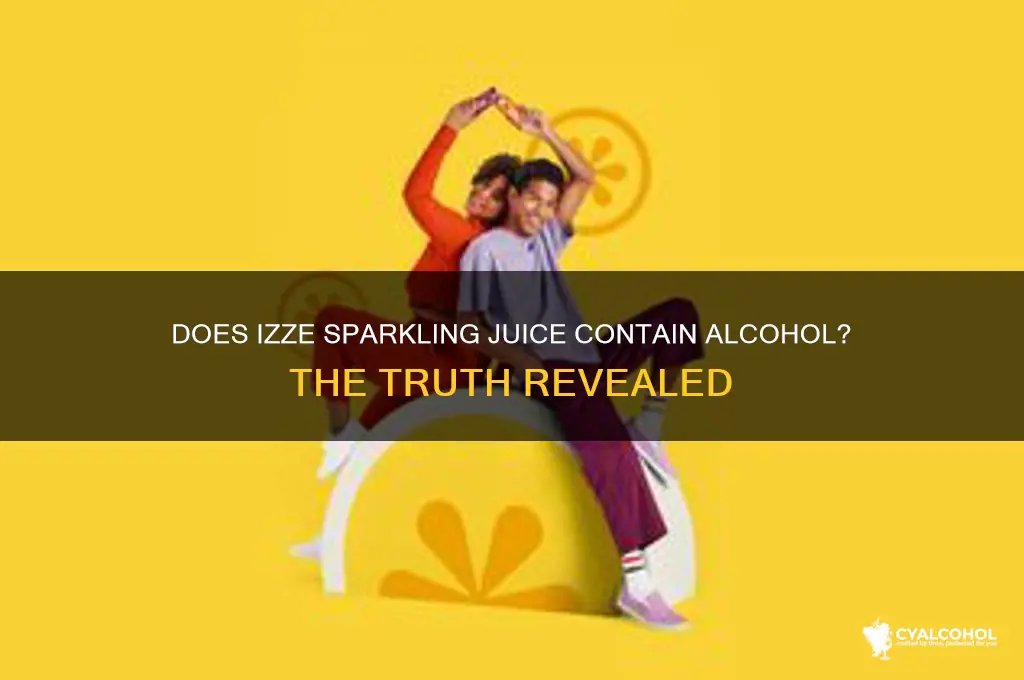 Does Izze Sparkling Juice Contain Alcohol? The Truth Revealed | CyAlcohol