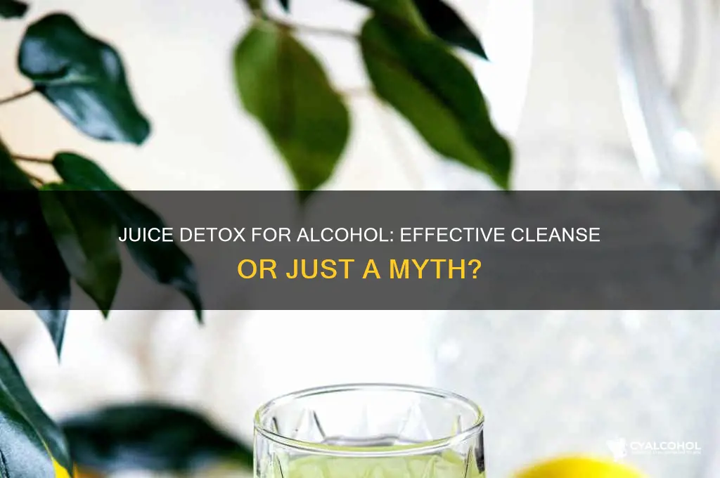 Juice Detox For Alcohol: Effective Cleanse Or Just A Myth? | CyAlcohol