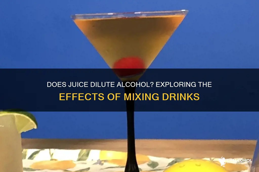 Does Juice Dilute Alcohol? Exploring The Effects Of Mixing Drinks ...