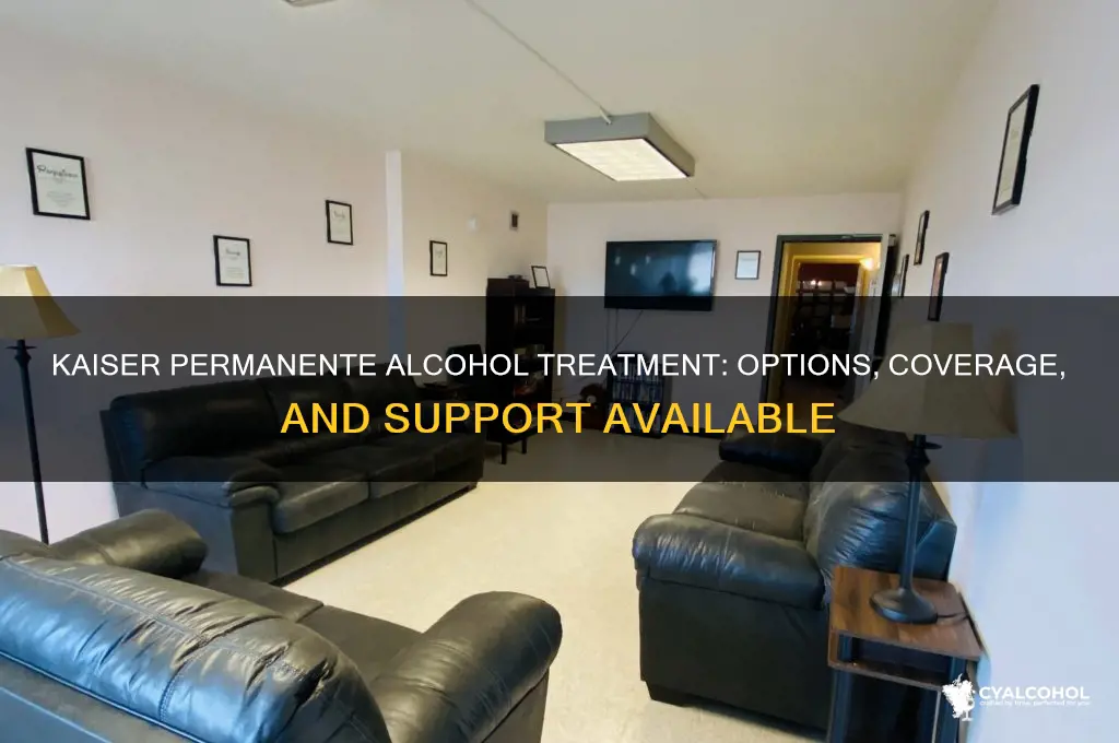 Kaiser Permanente Alcohol Treatment: Options, Coverage, And Support ...