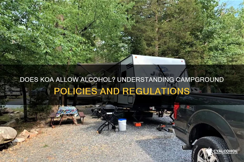 Does Koa Allow Alcohol? Understanding Campground Policies And ...