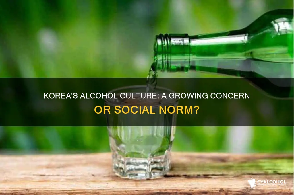 Korea's Alcohol Culture: A Growing Concern Or Social Norm? | CyAlcohol