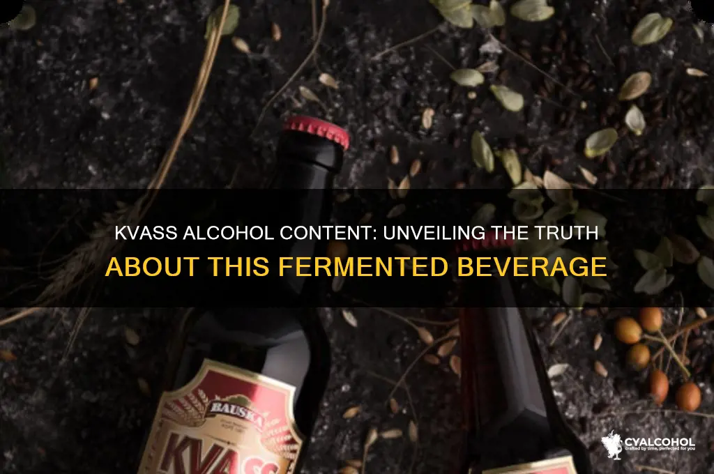 Kvass Alcohol Content: Unveiling The Truth About This Fermented ...