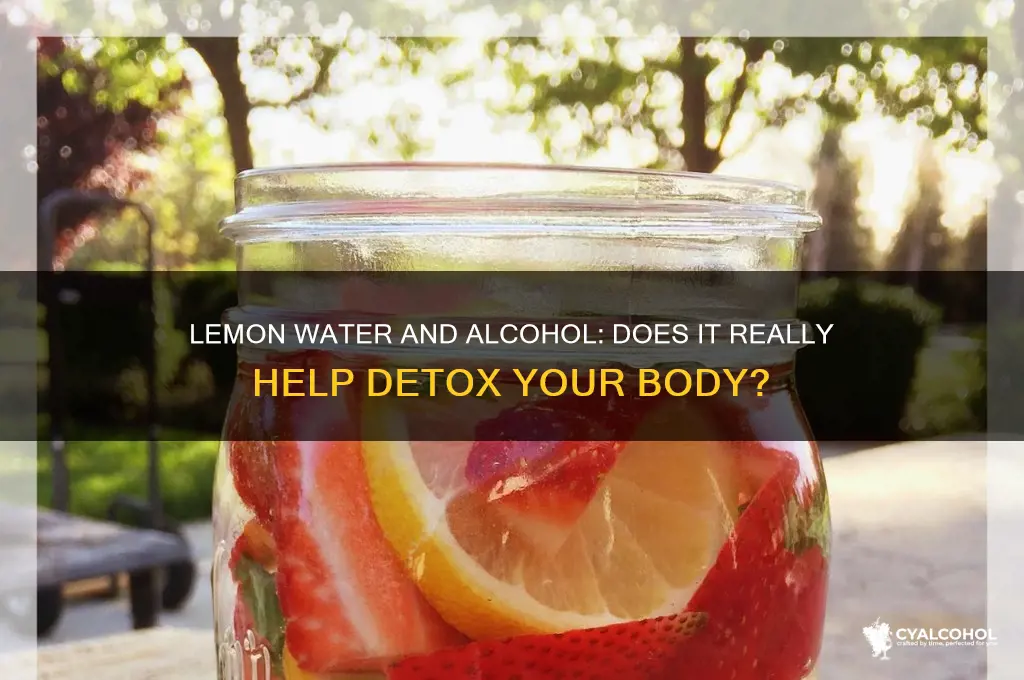 Lemon Water And Alcohol: Does It Really Help Detox Your Body? | CyAlcohol