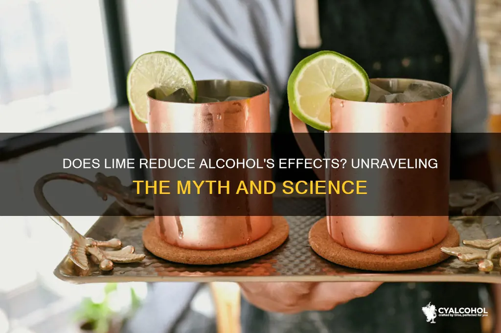 Does Lime Reduce Alcohol's Effects? Unraveling The Myth And Science ...