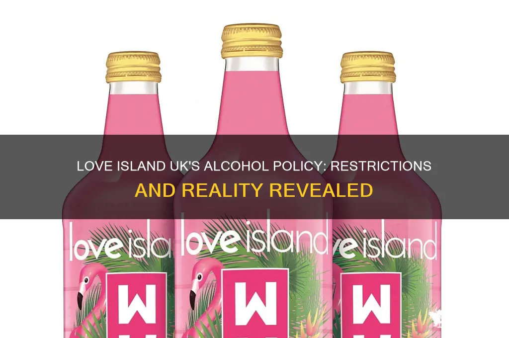 Love Island Uk's Alcohol Policy: Restrictions And Reality Revealed ...