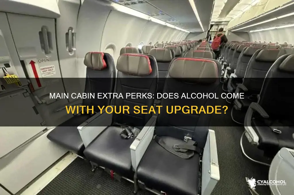 Main Cabin Extra Perks: Does Alcohol Come With Your Seat Upgrade ...