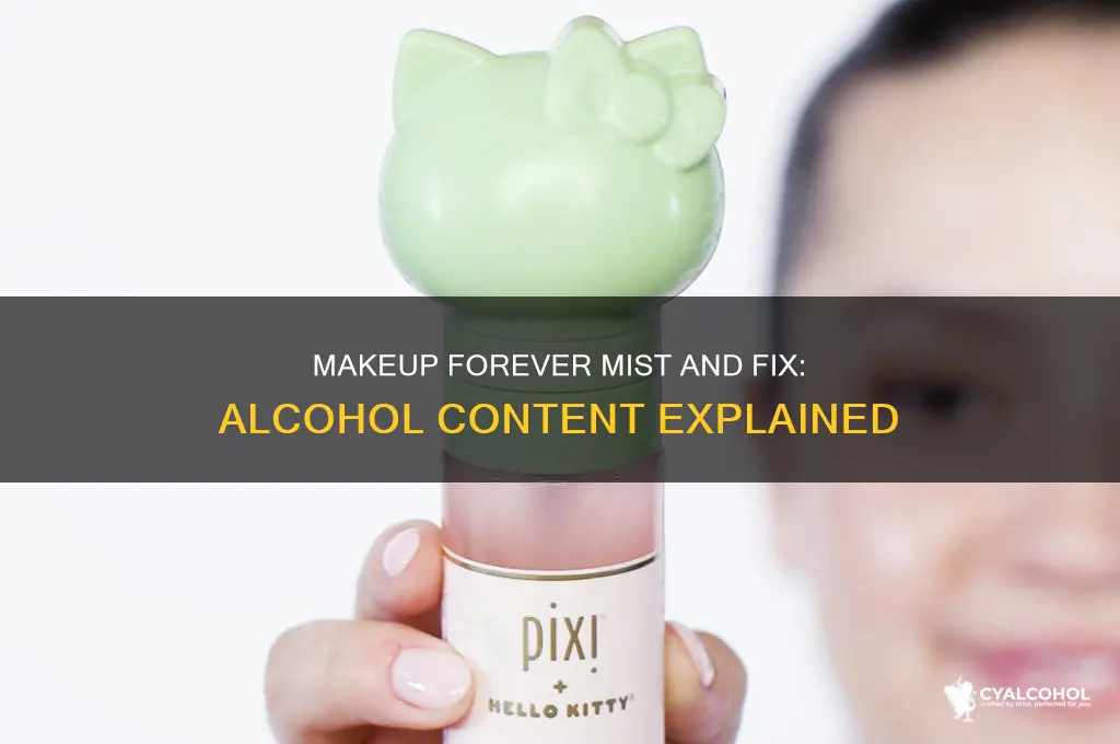 Makeup Forever Mist And Fix: Alcohol Content Explained | CyAlcohol