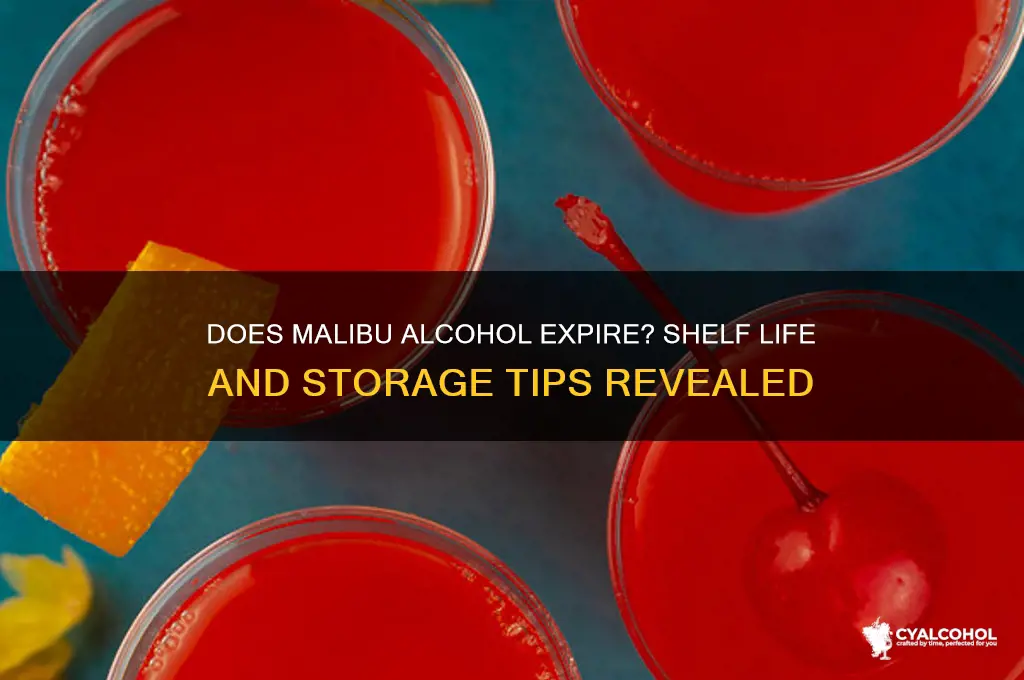 Does Malibu Alcohol Expire? Shelf Life And Storage Tips Revealed ...