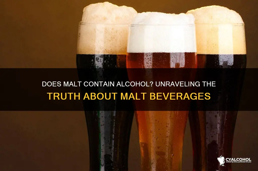 Does Malt Contain Alcohol? Unraveling The Truth About Malt Beverages ...