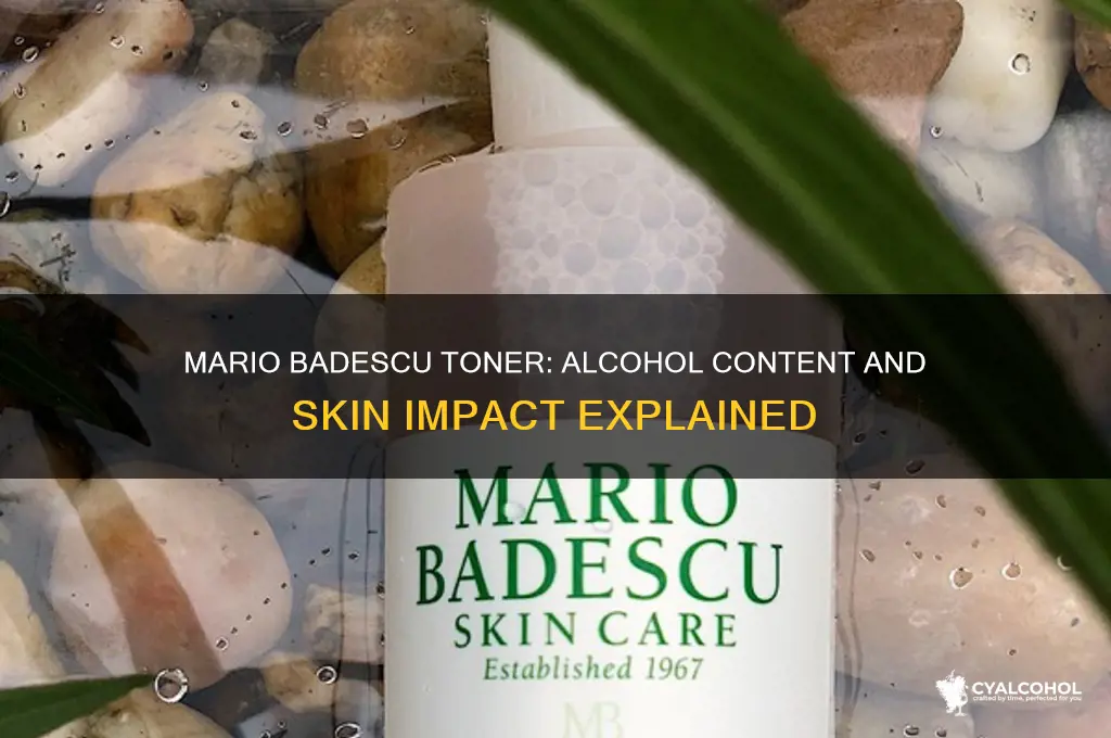 Mario Badescu Toner: Alcohol Content And Skin Impact Explained | CyAlcohol