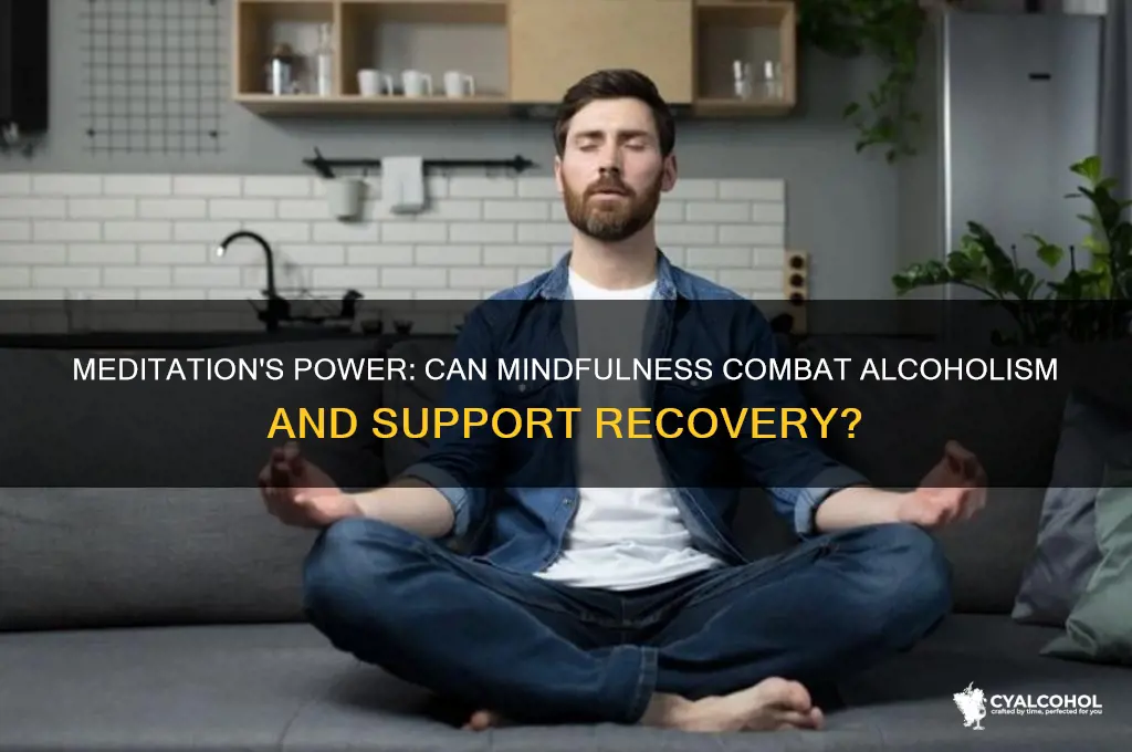 Meditation's Power: Can Mindfulness Combat Alcoholism And Support ...