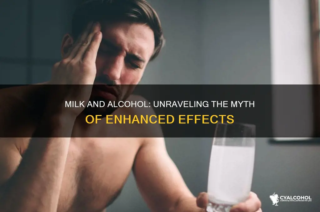 Milk And Alcohol: Unraveling The Myth Of Enhanced Effects | CyAlcohol