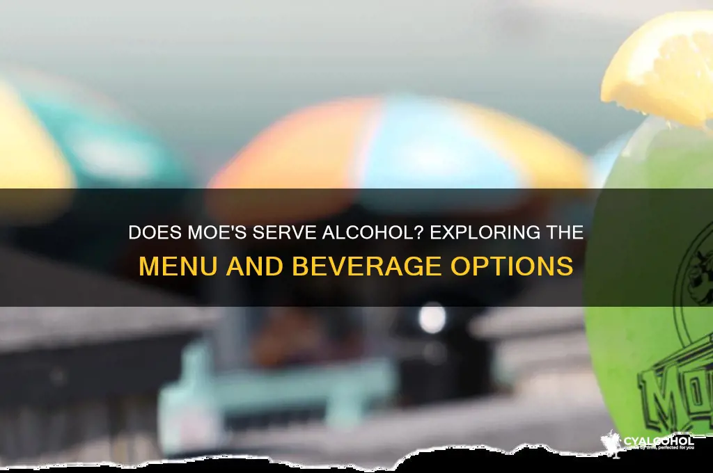 Does Moe's Serve Alcohol? Exploring The Menu And Beverage Options ...