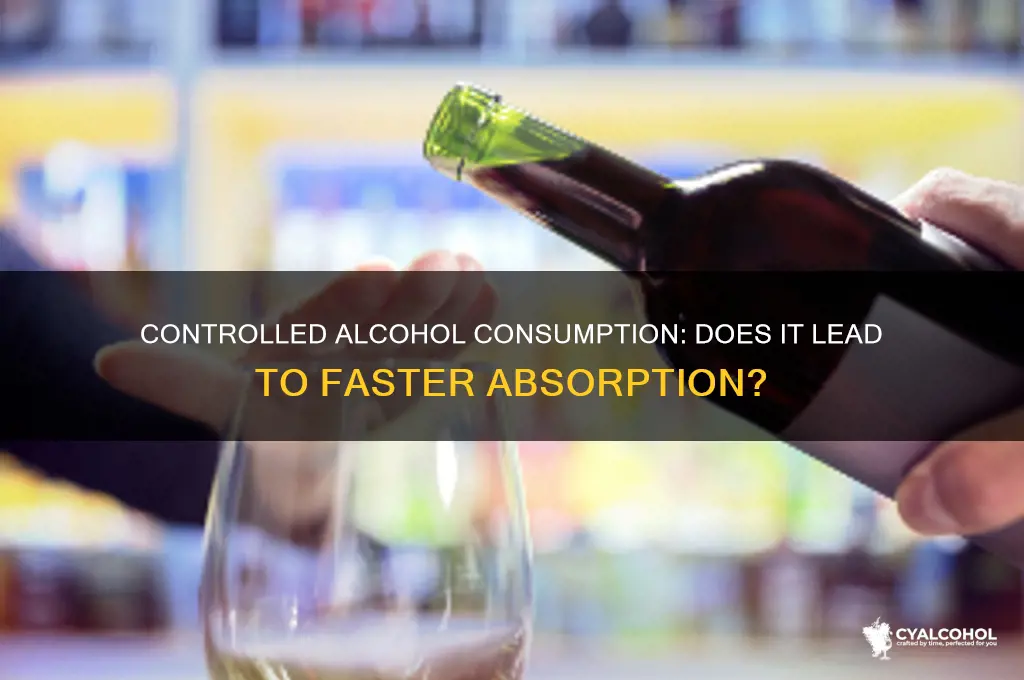 Controlled Alcohol Consumption: Does It Lead To Faster Absorption ...