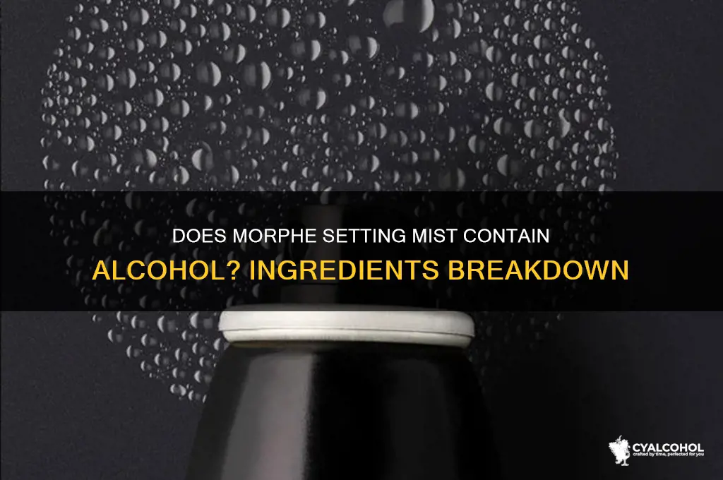Does Morphe Setting Mist Contain Alcohol? Ingredients Breakdown | CyAlcohol