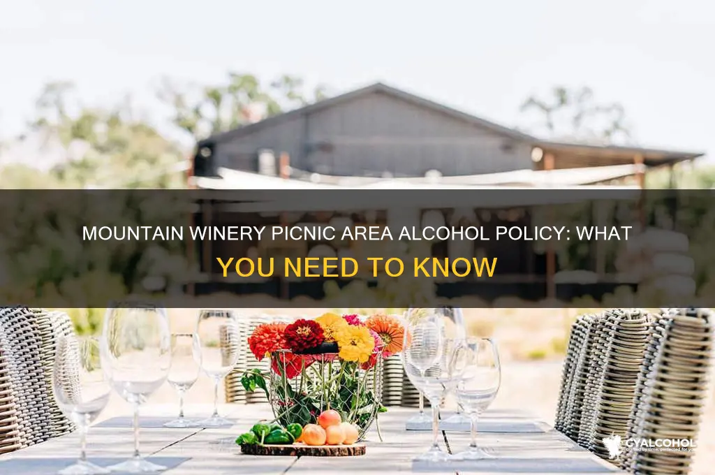 Mountain Winery Picnic Area Alcohol Policy: What You Need To Know ...