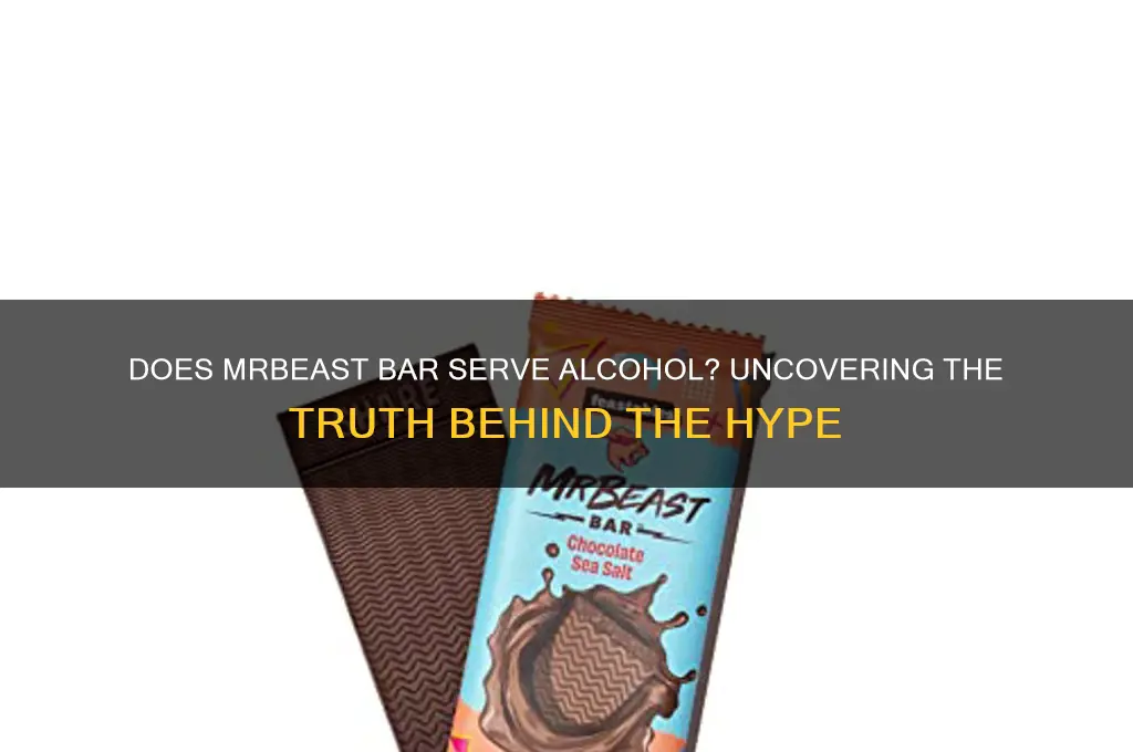 Does Mrbeast Bar Serve Alcohol? Uncovering The Truth Behind The Hype ...
