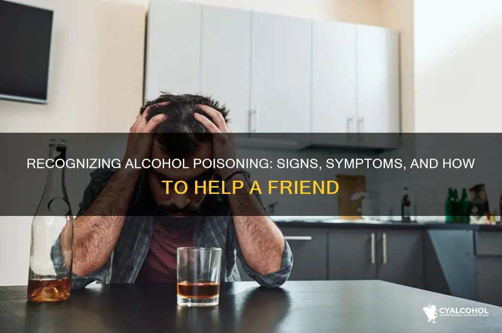Recognizing Alcohol Poisoning: Signs, Symptoms, And How To Help A ...