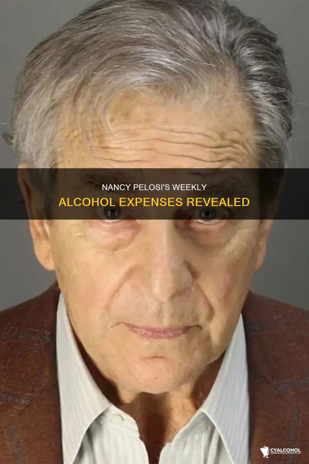 Nancy Pelosi's Weekly Alcohol Expenses Revealed | CyAlcohol