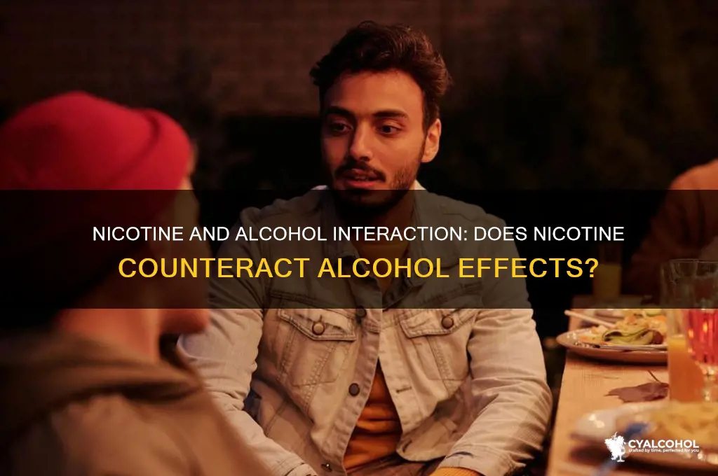 Nicotine And Alcohol Interaction: Does Nicotine Counteract Alcohol ...