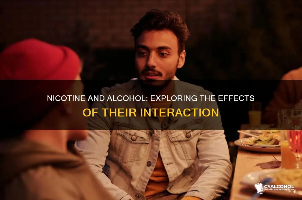 Nicotine And Alcohol: Exploring The Effects Of Their Interaction ...