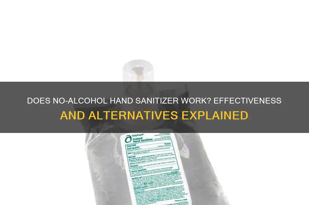 Does No-Alcohol Hand Sanitizer Work? Effectiveness And Alternatives ...